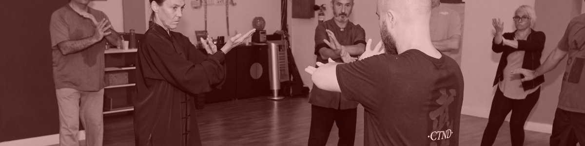 Learning Martial Arts & Taijiquan with Chen Yu